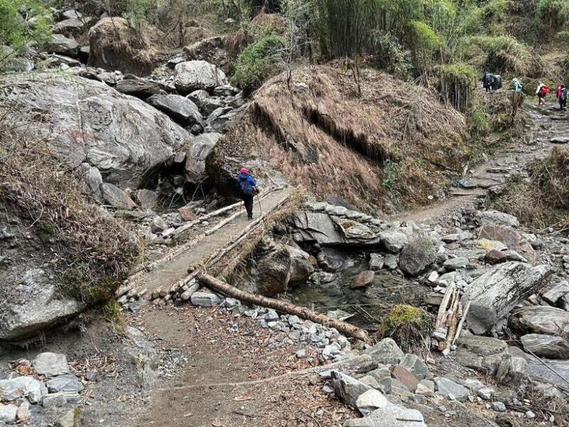 From Pokhara: 7-Day Annapurna Base Camp Trek - Introduction