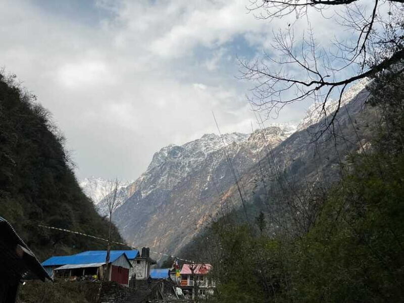 From Pokhara: 7-Day Annapurna Base Camp Trek - Why This Trek Delivers Real Value