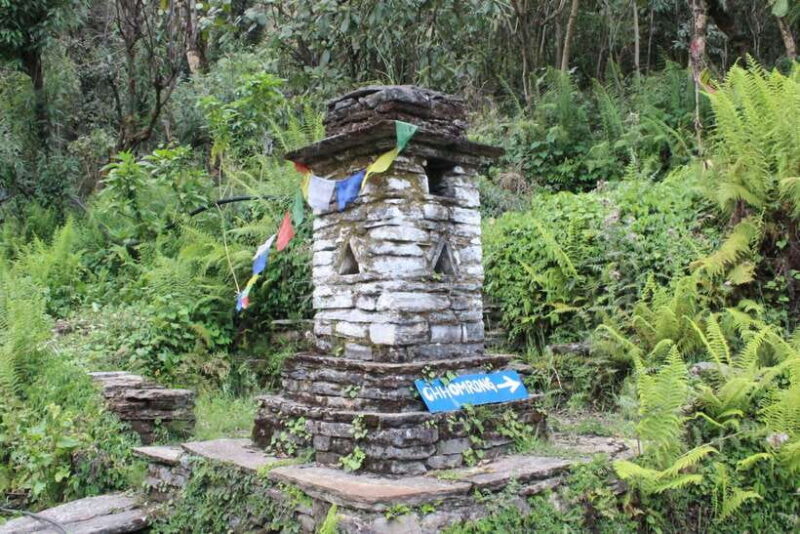 from Pokhara: 7-Day Annapurna Base Camp Trek - Frequently Asked Questions