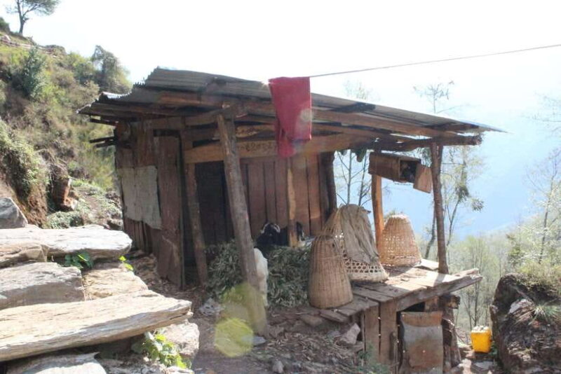 from Pokhara: 7-Day Annapurna Base Camp Trek - Final Thoughts