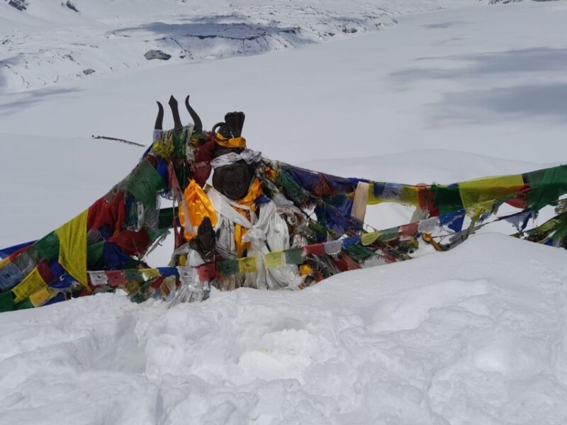 From Pokhara: 7 Days Annapurna Basecamp Trek - Introduction