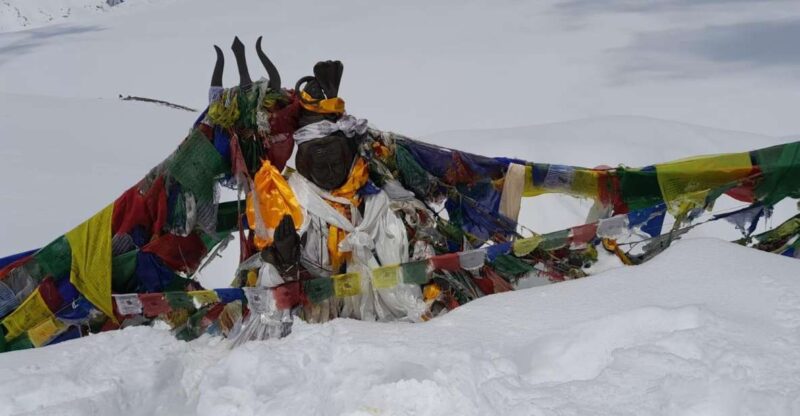 From Pokhara: 7 Days Annapurna Basecamp Trek - How the Itinerary Unfolds