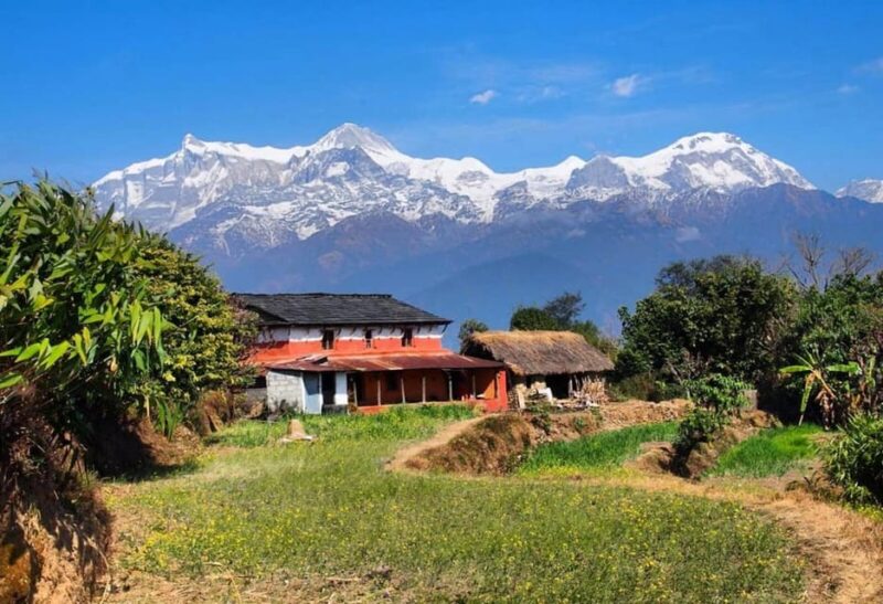 From Pokhara: Annapurna View Day Hike - The Practical Appeal: Timing and Group Size
