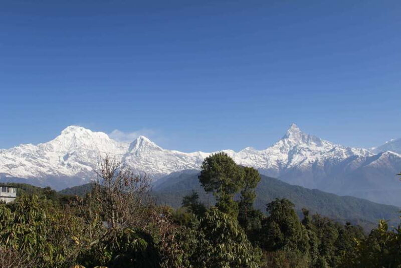 From Pokhara: Australian Camp and Dhampus Guided Day Hike - Key Points