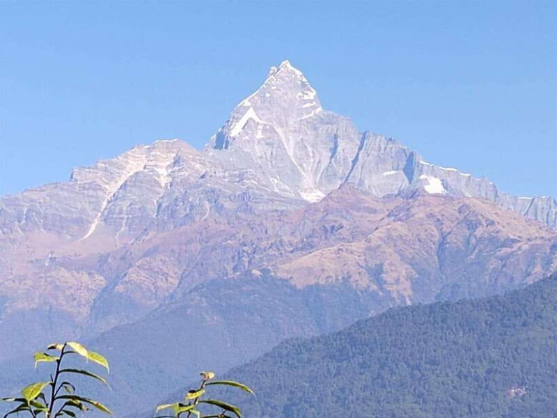 From Pokhara: Australian Camp and Dhampus Hiking Tour - What’s Included and What’s Not