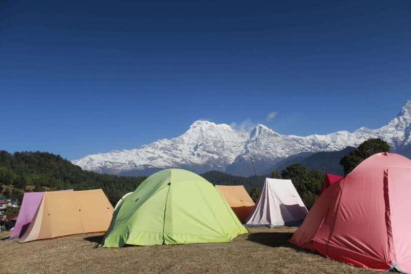 From Pokhara: Australian Camp and Dhampus Hiking Tour - The True Value of This Tour