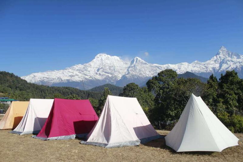 From Pokhara: Australian Camp and Dhampus Hiking Tour - Who Is This Tour Best For?