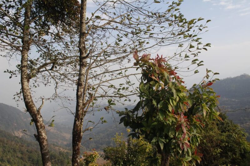 From Pokhara: Day Hiking Australian Camp & Dhampus - The Descent and Return to Pokhara