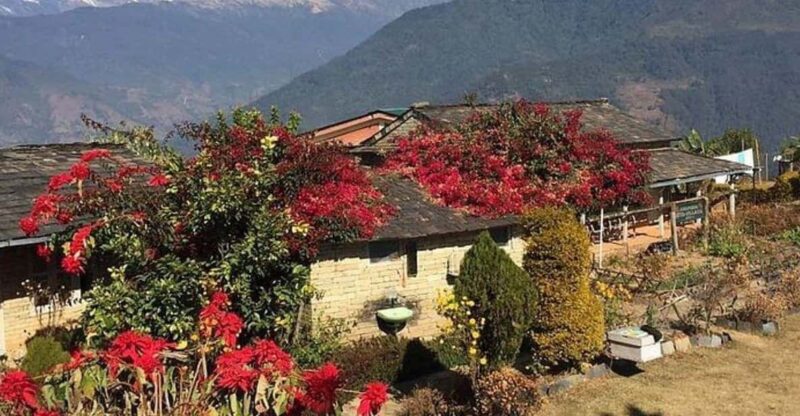 From Pokhara: Full Day Hiking to Astam Village - Whats Included and Whats Not