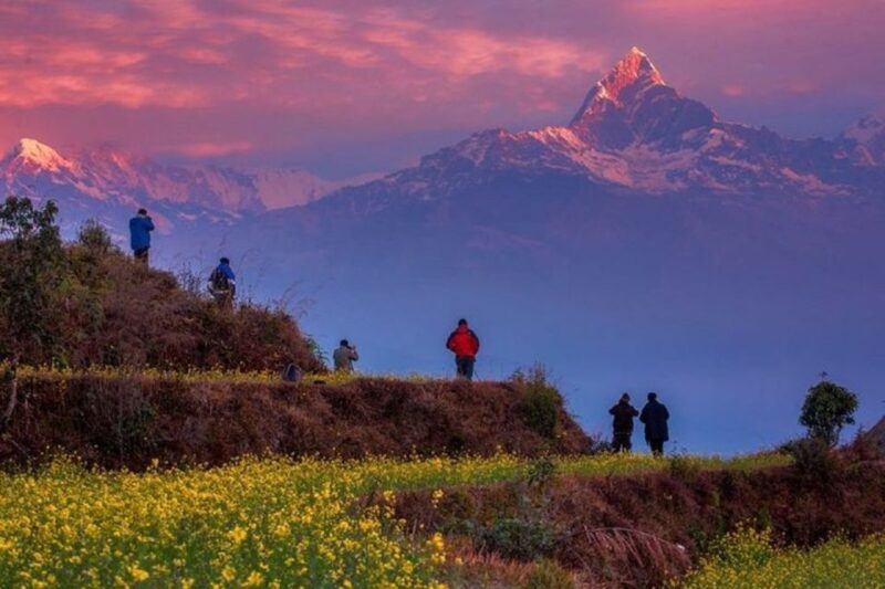 From Pokhara: Guided Tour to Sarangkot Sunrise with Day Hike - The Guides and Experience Quality