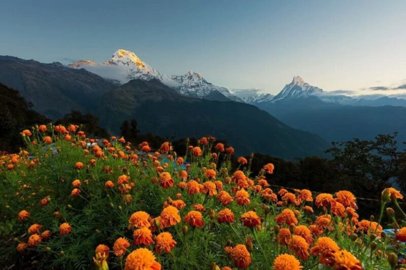 From Pokhara: Guided Tour to Visit 4 Himalayas View Point - Who Should Consider This Tour?