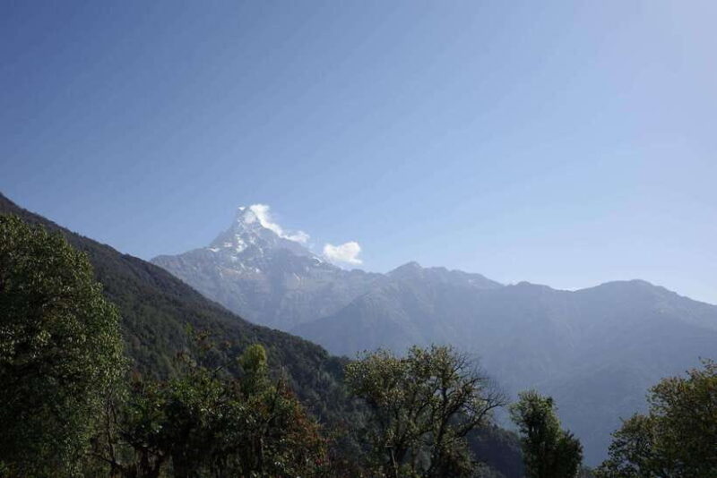 From Pokhara: Mardi Himal Trek with Accommodation and Guide - Detailed Breakdown of the Itinerary