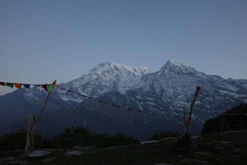 From Pokhara: Mardi Himal Trek with Accommodation and Guide - Authentic Experiences and Traveler Feedback
