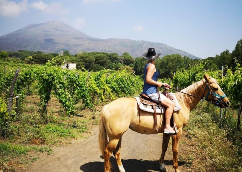 From Pompeii: Mount Vesuvius Horseback Riding Tour - Final Thoughts