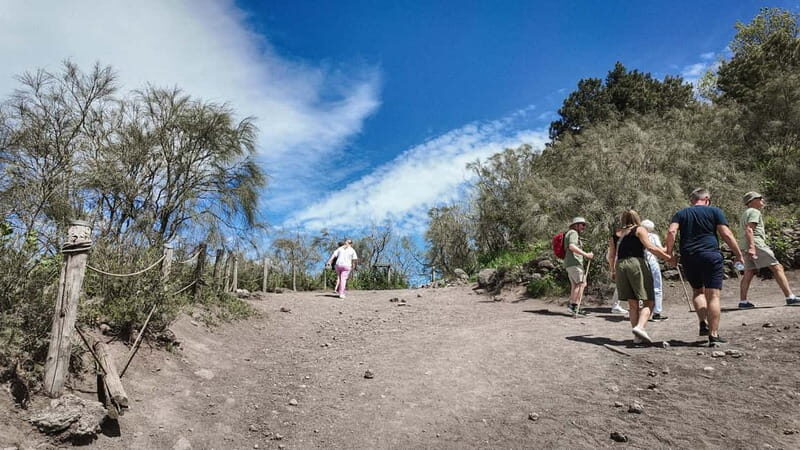 From Pompeii: Mount Vesuvius with bus, ticket and audioguide - FAQ
