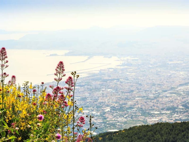 From Pompeii: Mt. Vesuvius Hike & Tour by Bus - A Detailed Look at the Tour Experience