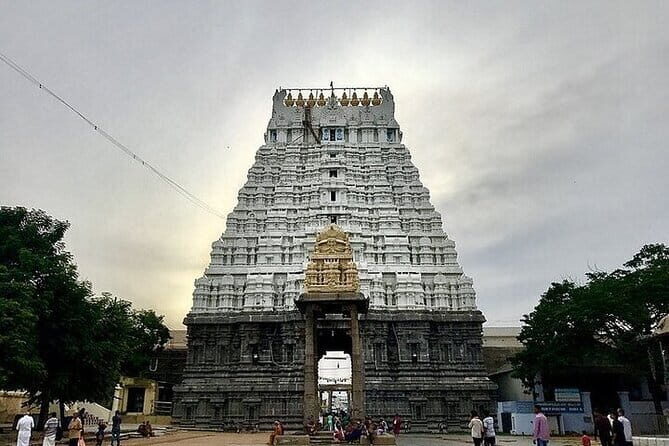 From Pondicherry: Day Tour to Mahabalipuram and Kanchipuram - Key Points