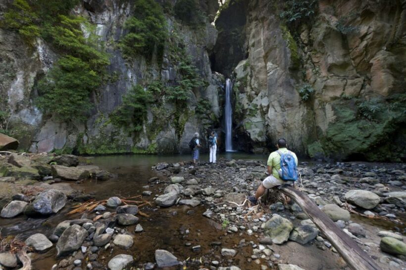 From Ponta Delgada: Guided Walking Tour to Salto do Cabrito - Detailed Experience Breakdown
