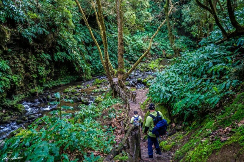 From Ponta Delgada: Hiking Moinho do Félix - The Wise Choice for Active, Curious Travelers