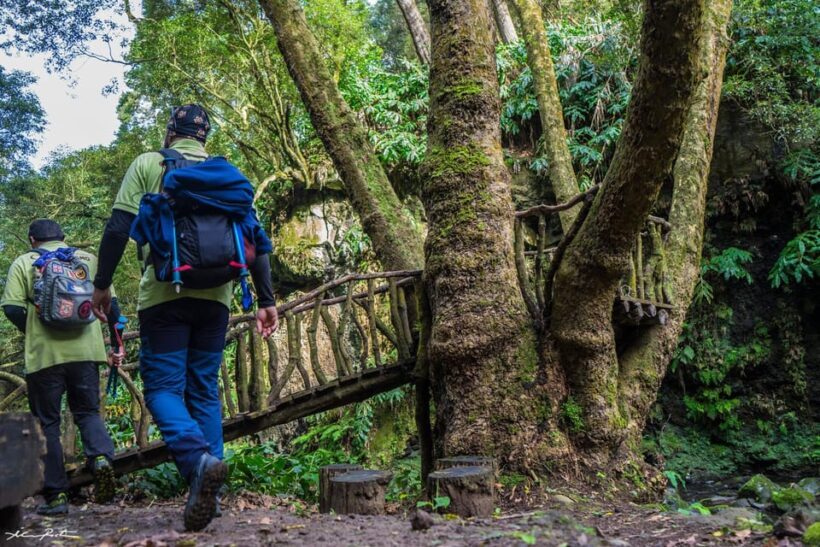 From Ponta Delgada: Hiking Moinho do Félix - Potential Drawbacks