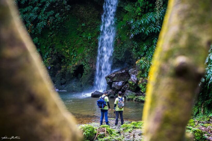 From Ponta Delgada: Hiking Moinho do Félix - Who Is This Tour Best For?