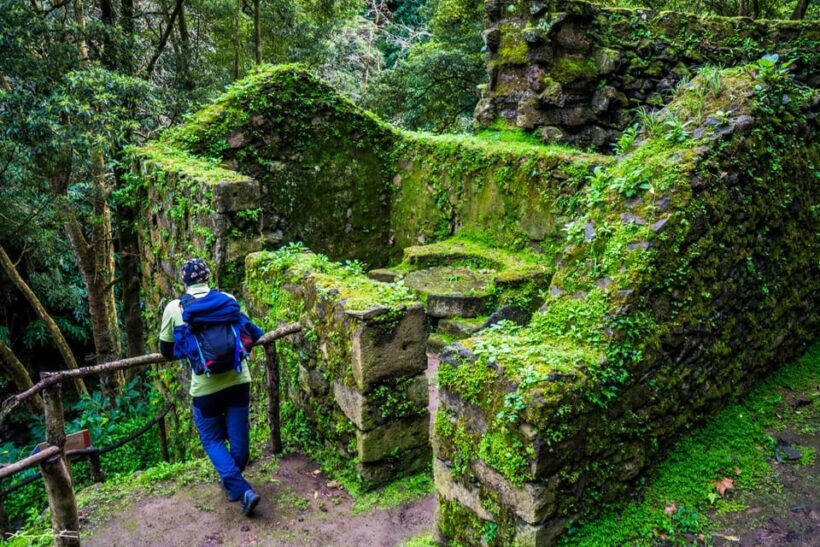 From Ponta Delgada: Hiking Moinho do Félix - Final Thoughts: Is It Worth It?