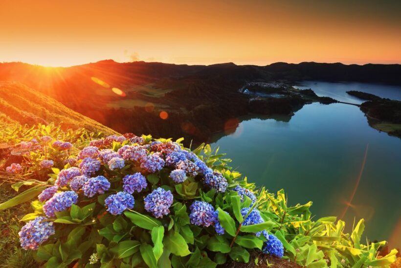 From Ponta Delgada: Sete Cidades Guided Tour - The Value of the Experience