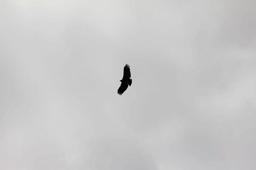 From Popayán: Day Trip to Puracé National Park - What to Expect: A Day of Discovery