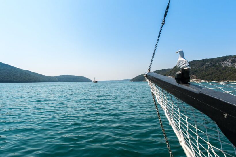 From Pore: Boat Day Trip to Rovinj with Fish Lunch - FAQ