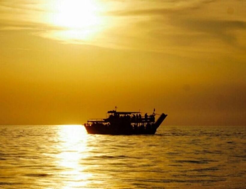 From Pore: Evening Dolphin Cruise with Welcome Drink - An Overview of the Experience
