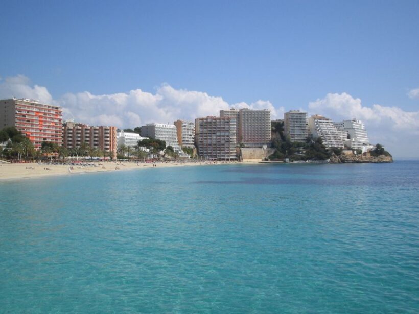 From Port Alcudia: Magaluf Shuttle Bus - The Practical Side: Value, Timing, and Experience