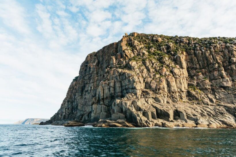 From Port Arthur: Tasman Island Wilderness Cruise - Who Will Enjoy This Cruise?