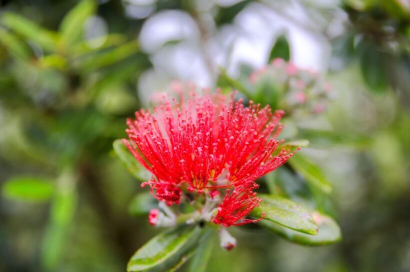 From Port Chalmers: Small Group Castle, Coast & City Tour - Who Is This Tour Best For?