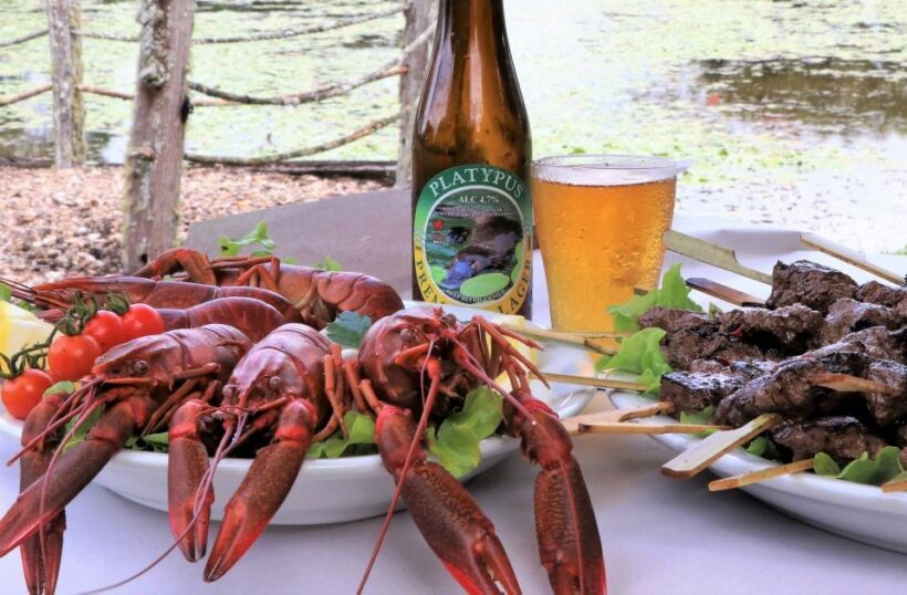 From Port Douglas: Atherton Tablelands Food & Wine Tasting - An In-depth Look at the Atherton Tablelands Food & Wine Tour