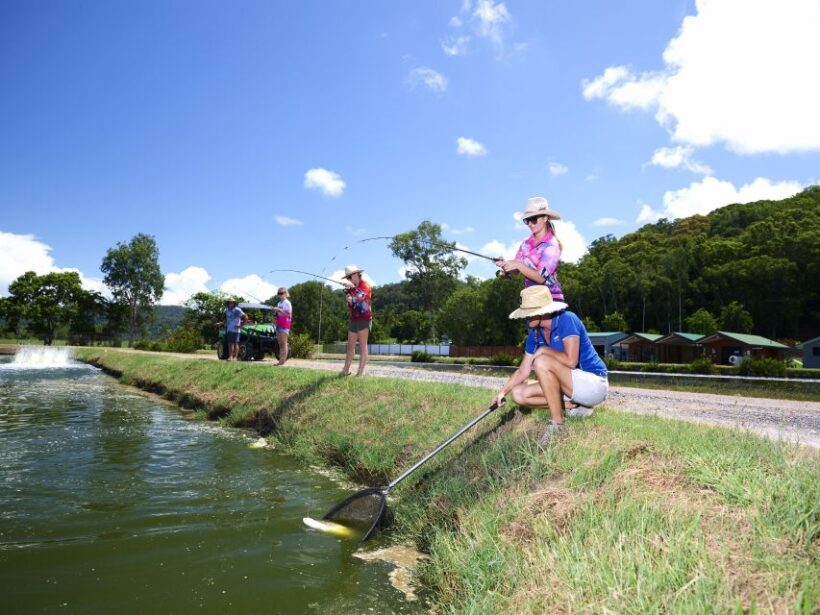 From Port Douglas: Barramundi Pond Fishing with Lunch - Key Points