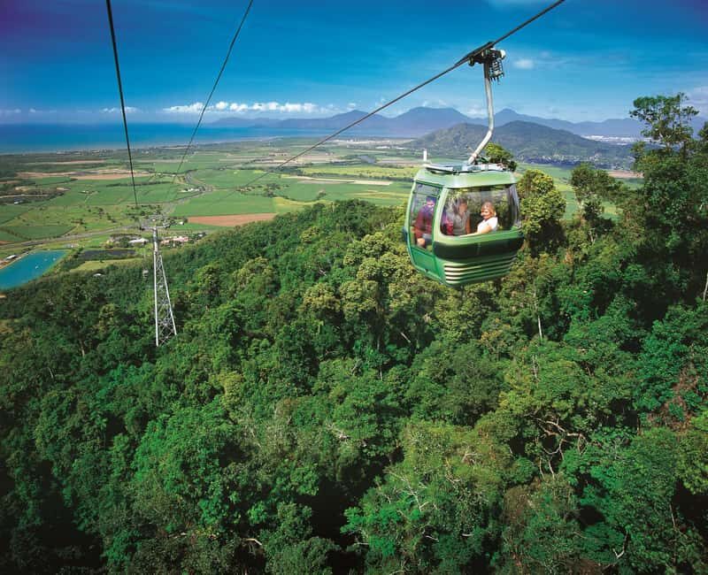 From Port Douglas: Hartley's Crocodile Park, Skyrail & Train - An Authentic Day in Queensland’s Outdoors