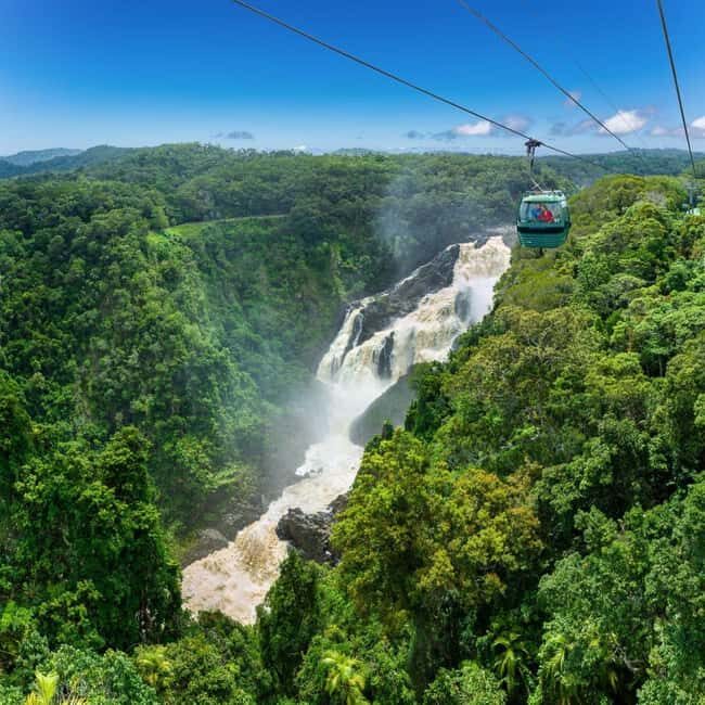 From Port Douglas: Hartley's Crocodile Park, Skyrail & Train - What’s Included and What’s Not