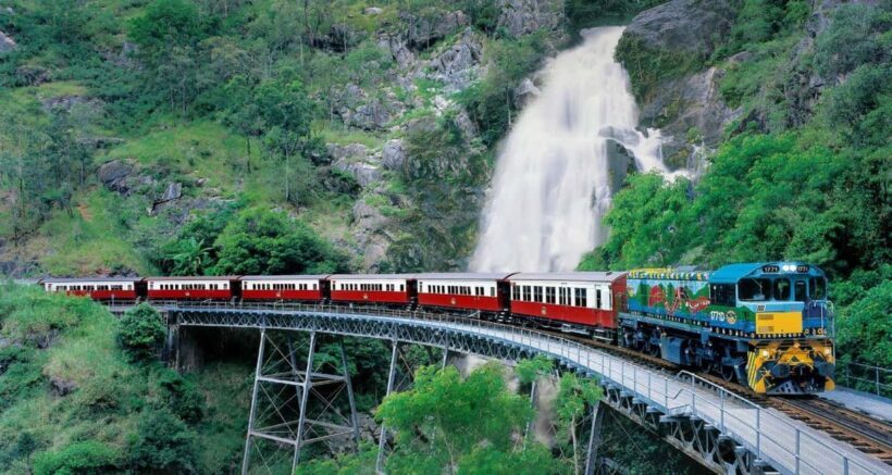 From Port Douglas: Hartley's Crocodile Park, Skyrail & Train - Final Thoughts: Is This Tour Right for You?