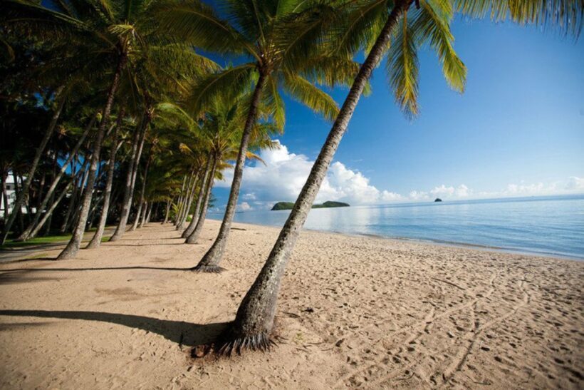 From Port Douglas: Kuranda Tour with Skyrail & Scenic Train - Key Points