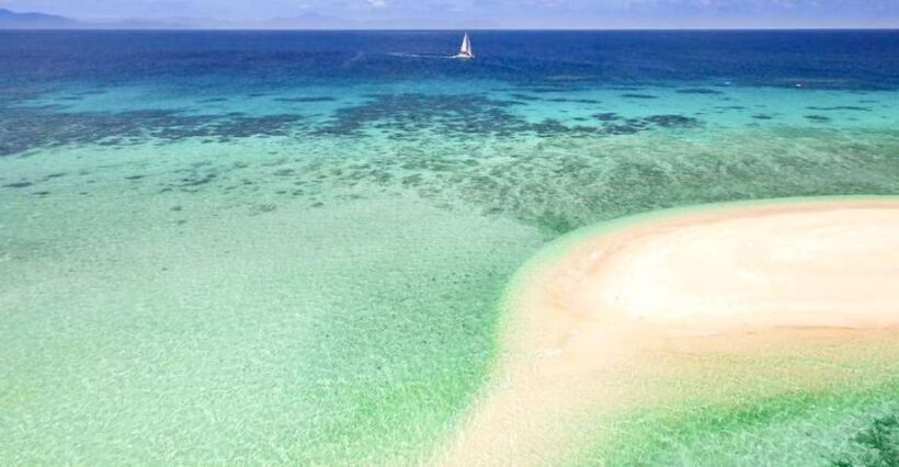 From Port Douglas: Outer Reef Cruise by Luxury Catamaran - Key Points