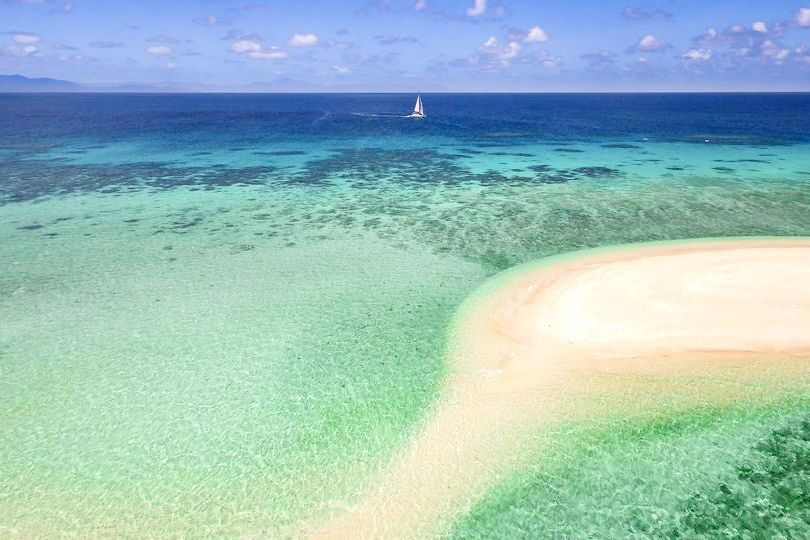 From Port Douglas: Outer Reef Cruise by Luxury Catamaran - Practical Details and What You Need to Know