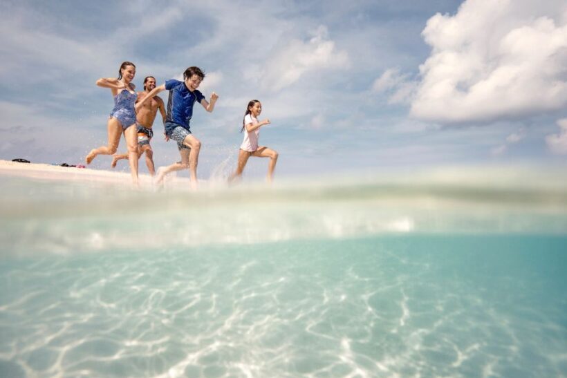 From Port Douglas: Outer Reef Cruise by Luxury Catamaran - The Sum Up: Who Will Love This Tour?