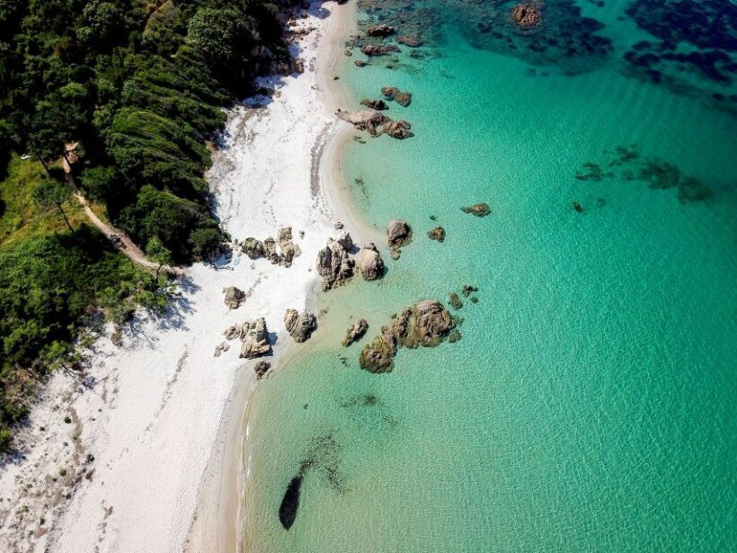 From Porticcio: Speedboat Tour to Cupabia Beach with Stops - Key Points