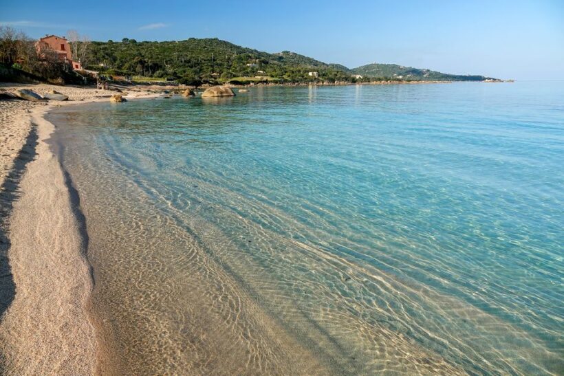 From Porticcio: Speedboat Tour to Cupabia Beach with Stops - Analyzing the Value