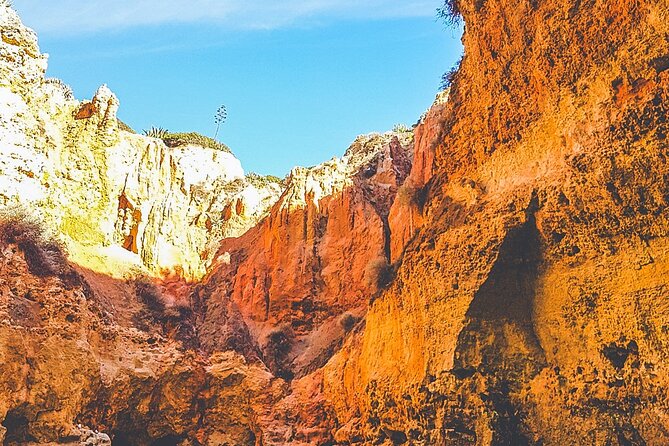 From Portimão to Paradise 90 Min Tour - Experienced Skippers and Maritime Authorities