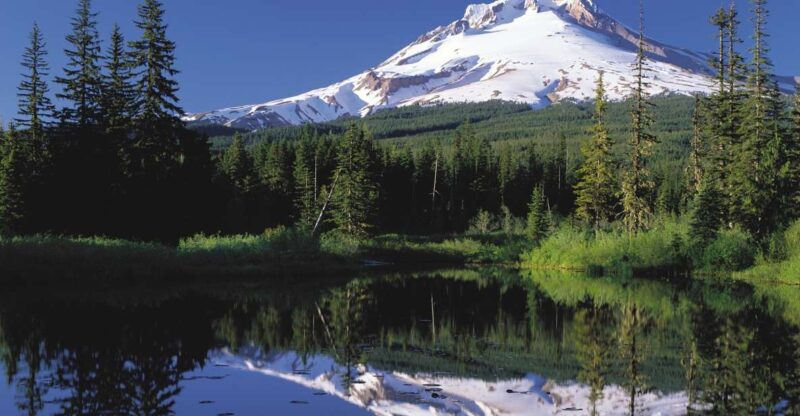 From Portland: Columbia Gorge Waterfalls and Mt. Hood Tour - Who Will Love This Tour?