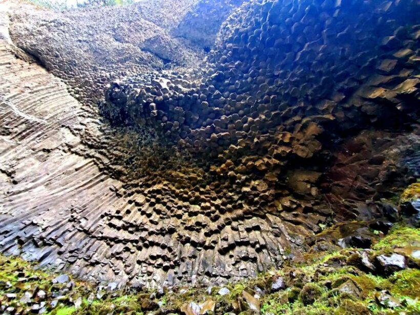 From Portland: Full Day Gorge Waterfalls & Mt. Hood Tour - Who Will Love This Tour?