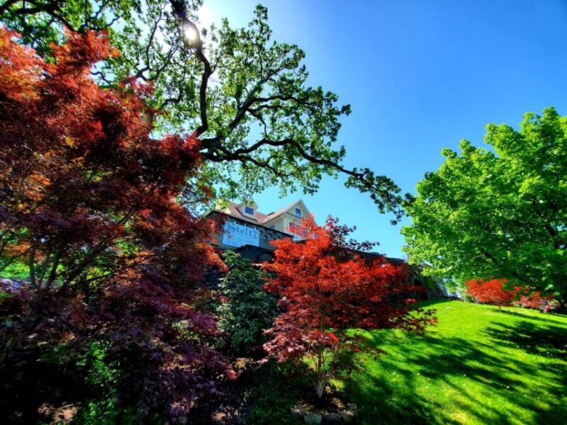 From Portland: Full Day Gorge Waterfalls & Mt. Hood Tour - Who Is This Tour Best For?