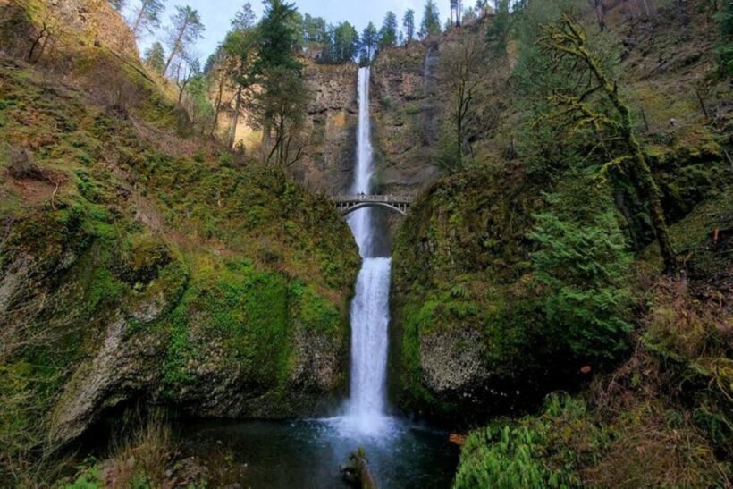 From Portland: Half-Day Columbia River Gorge Waterfalls Tour - Overview of the Tour Experience
