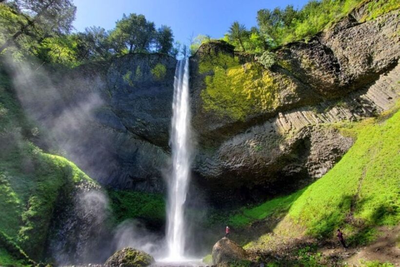 From Portland: Half-Day Columbia River Gorge Waterfalls Tour - The Value of This Tour